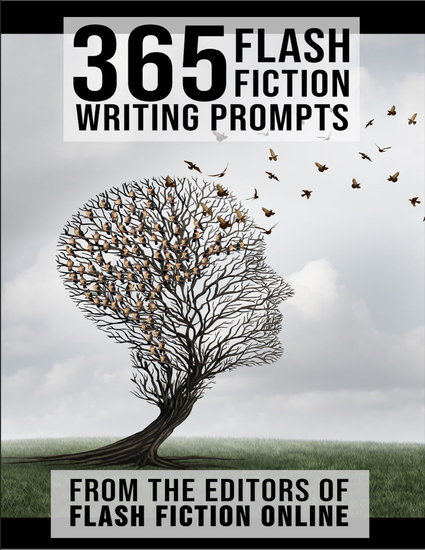13 Tips For Writing Flash Fiction Flash Fiction Online