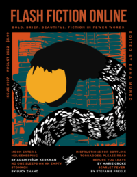 Issues – Flash Fiction Online