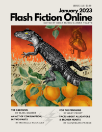 Issues – Flash Fiction Online